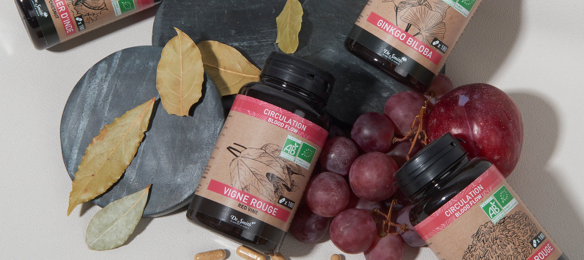 Cures Circulation - Dr Smith – drsmith.fr