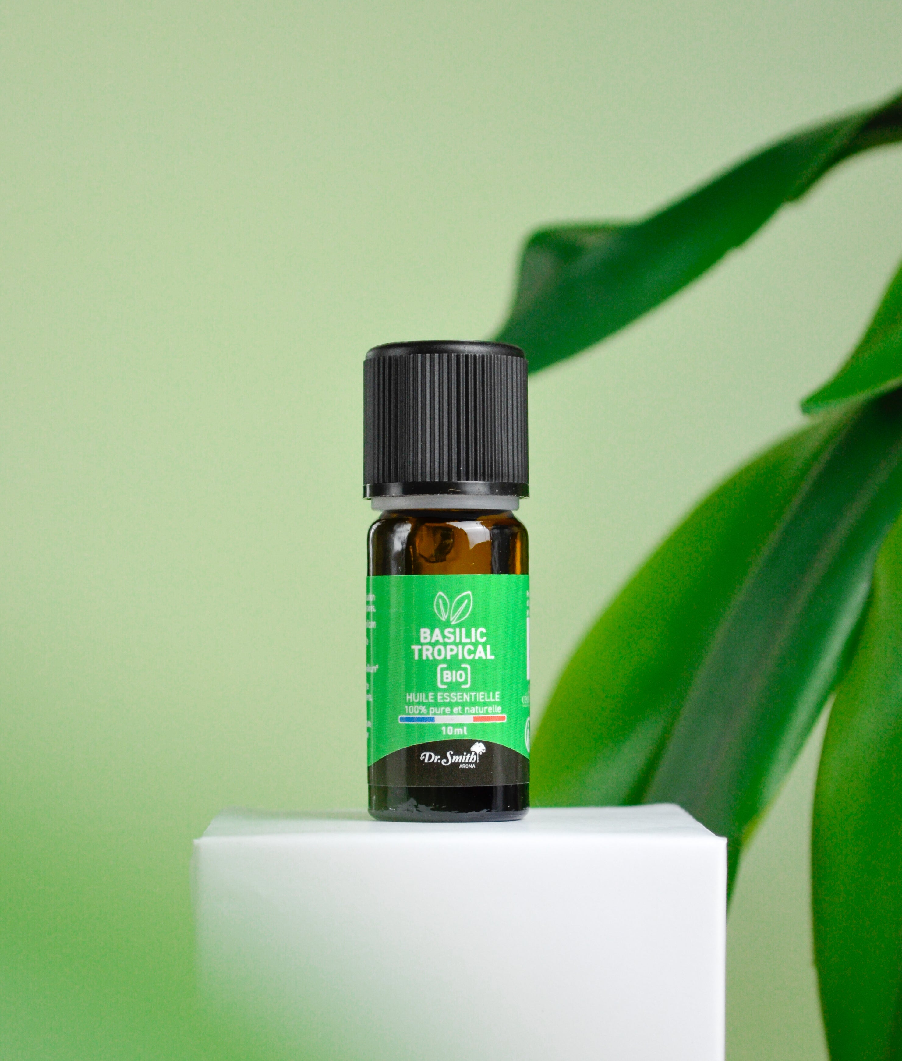 Huile Essentielle - Basilic Tropical Bio [10ml] – drsmith.fr